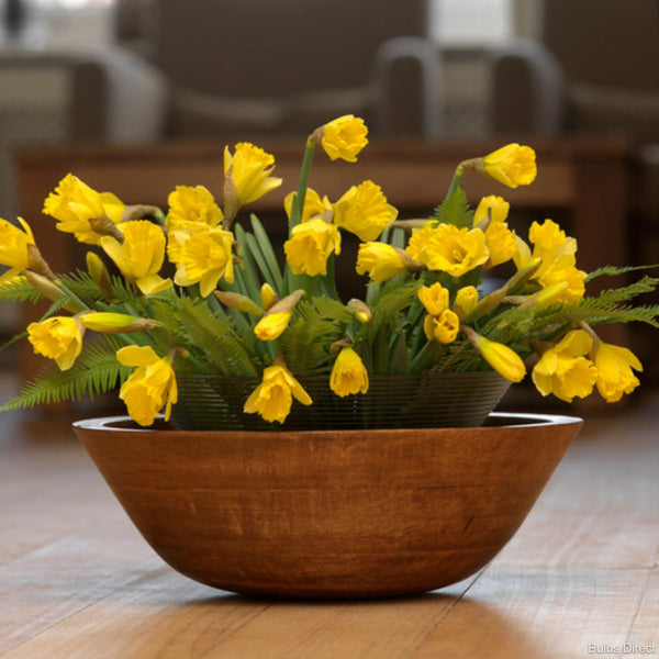 Bulbs Direct | Spring Season 2025
