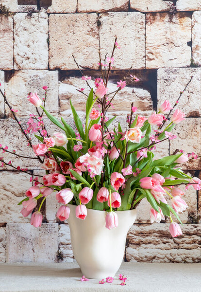 Tulip Tresor | Order Tulip Bulbs online | Bulbs Direct NZ