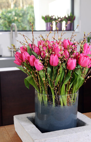 Saigon Tulip | Order Tulip Bulbs online | Bulbs Direct NZ