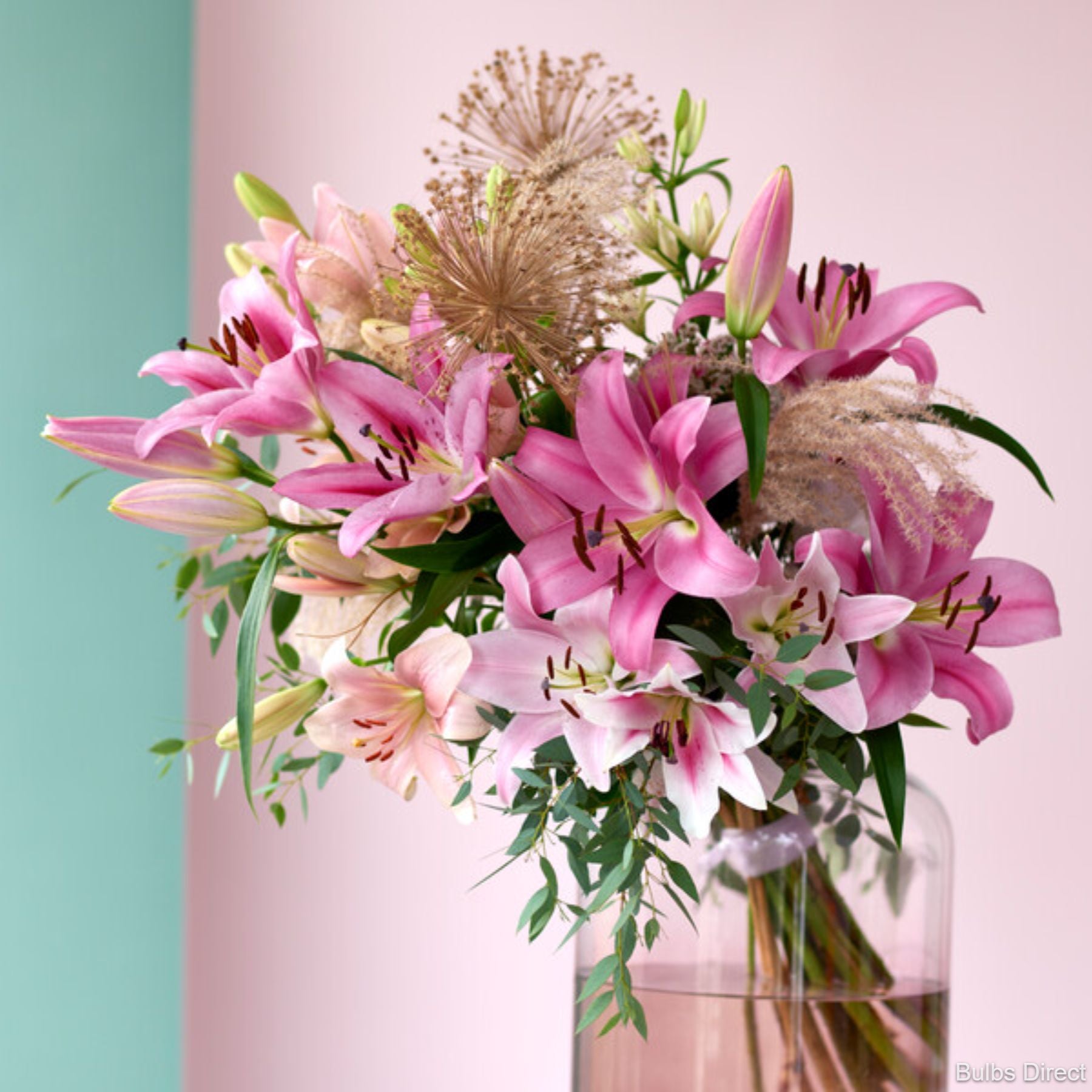 Dalian Oriental Lilies | Order Lily Bulbs online | Bulbs Direct NZ