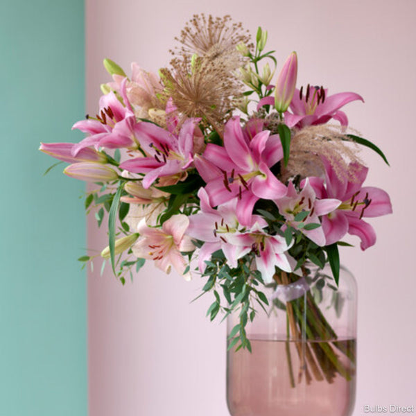 Dalian Oriental Lilies | Order Lily Bulbs online | Bulbs Direct NZ