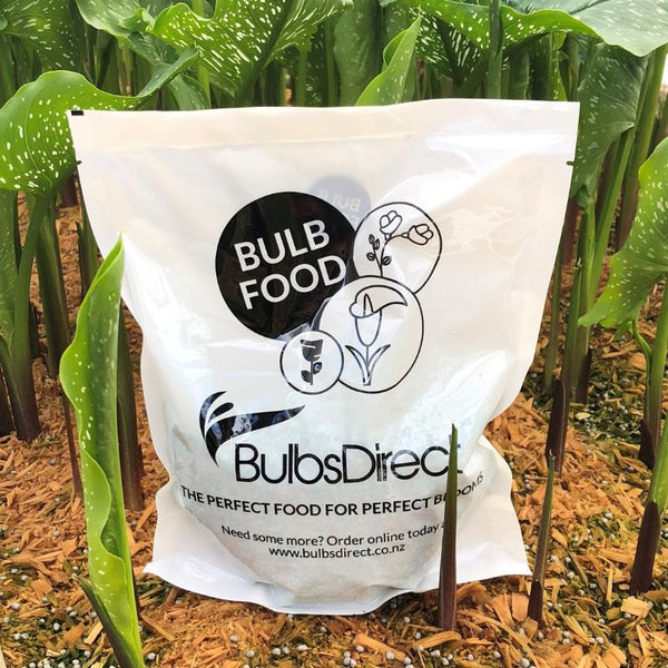 Bulb Food - Fertilizer 1kg or 2kg – Bulbs Direct