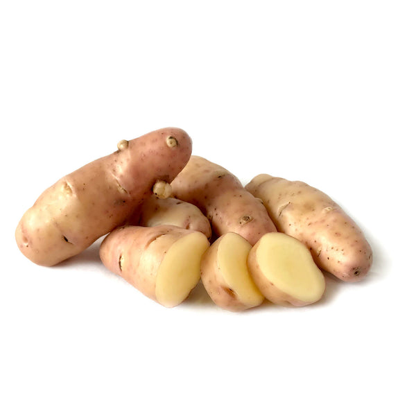 Pink Fir Apple Seed Potato | Buy Seed Potatoes online | Bulbs Direct